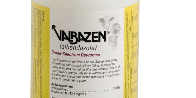 Valbazen Drench Dewormer 500 ml - Total Pooch